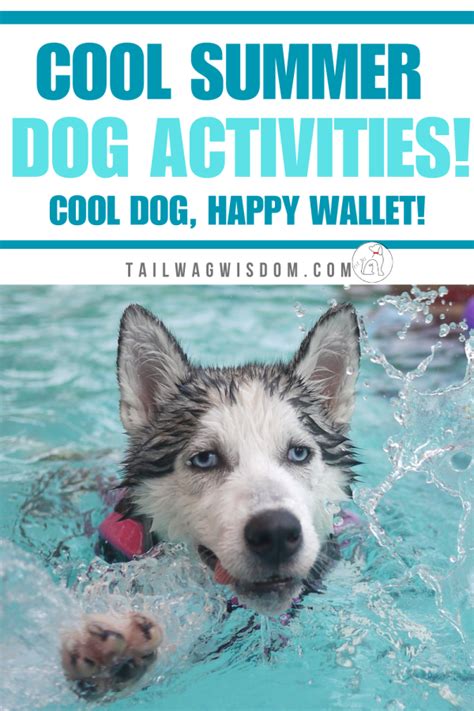 Pawsome Ways To Cool Down Your Dog This Sizzling Summer Tail Wag Wisdom