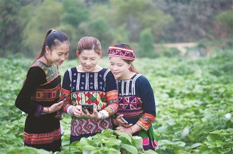 New Crop Keeps Families Together