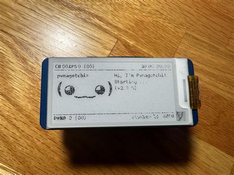 Recently Finished My Pwnagotchi R Pwnagotchi