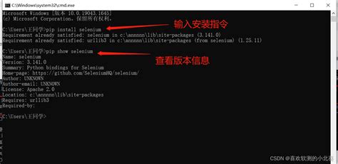 Pythonselenium安装及环境配置手把手教会你python Selenium Csdn博客