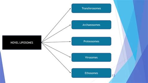 Liposomal Drug Delivery Pptx