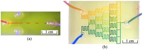 Fabricated Microfluidic Devices A Flow Focusing Droplet Generator B Download Scientific