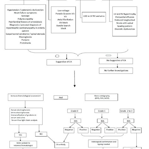 Diagnostic Algorithmic Approach To The Diagnosis Of Cardiac