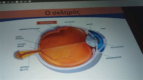 Η Ανατομια του ματιου Youtube