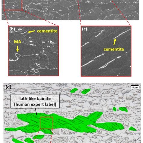 A Sem Microstructure Image Of Complex Phase Steels Which Is Used For Download Scientific