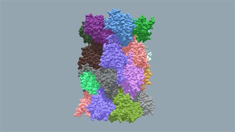 Proteasome 3d Models Sketchfab
