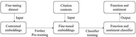 Overview Of Fine Tuning Contextual Embeddings For Citation Function And