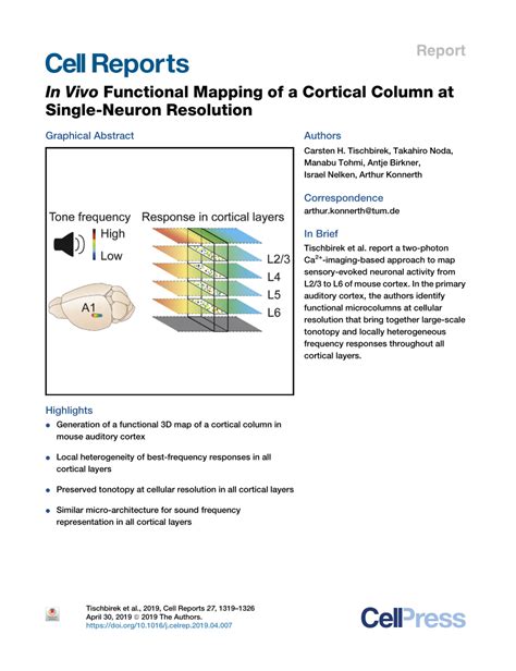 Pdf In Vivo Functional Mapping Of A Cortical Column At Single Neuron
