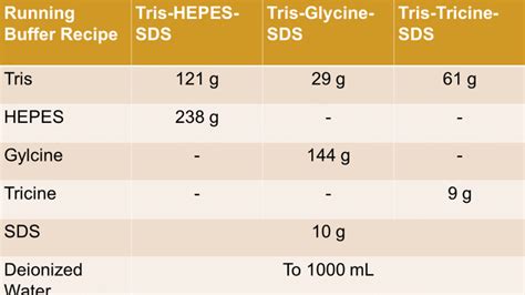 Tris Glycine Native Sample Buffer Recipe Besto Blog