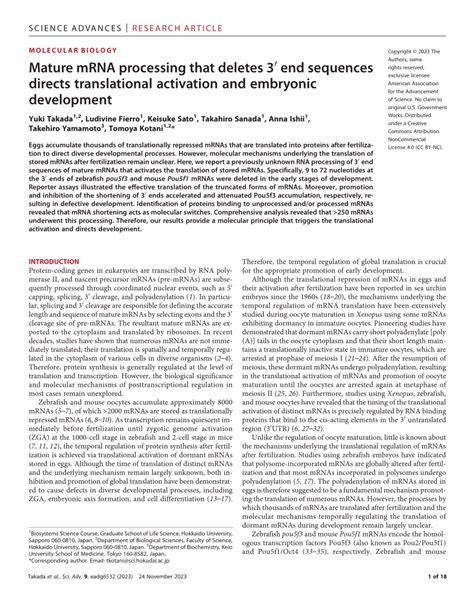 Pdf Mature Mrna Processing That Deletes 3′ End Sequences Directs