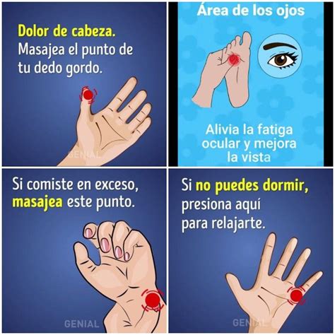 Pin De Laura Ferriz Torres En Saiku Puntos De Acupresión Terapia De