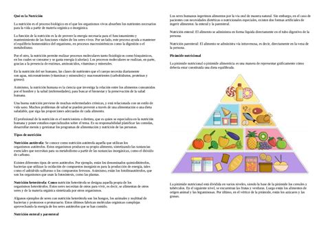 Nutricion Balanceado Apuntes De Nutrición Docsity