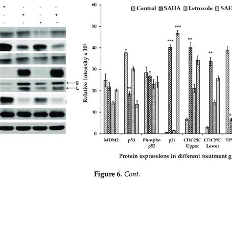 Apoptosis Necrosis And Necroptosis Analysis By Flow Cytometry Using