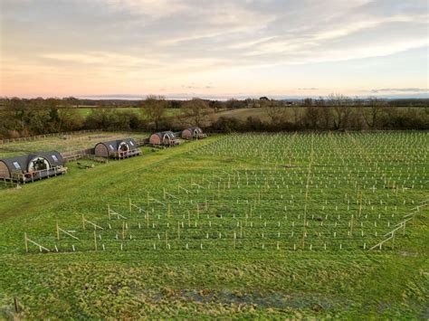 Couple Create Vineyard Glamping Experience On The Nottinghamshire