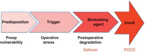 13 Targeted And Individualized Perioperative Medicine For Cognitive