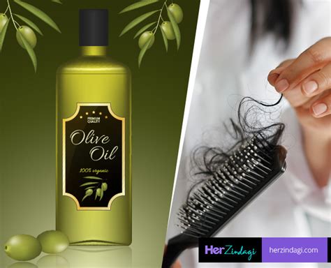 Olive Oil Prevents Hair Loss When Used With These Ingredients Herzindagi