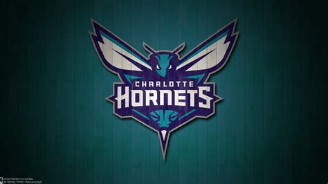 2013 Charlotte Hornets 1 Michael Tipton Flickr