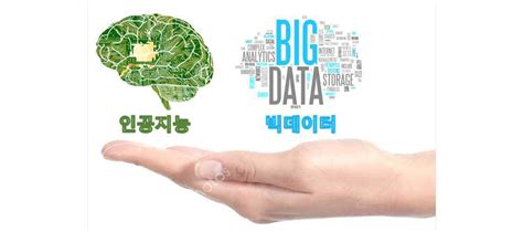 창의융합학부