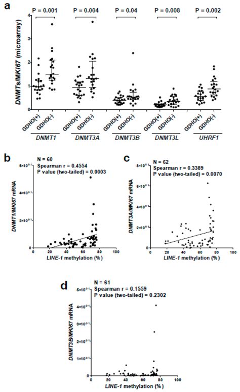 Gdho Eoc Tumors Show Reduced Expression Of Dnmts And Uhrf1 After
