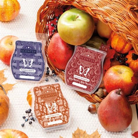 Scentsy Harvest Delights Wax Bar Collection 3 Pack Harvest 2019