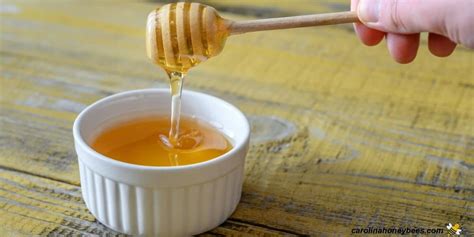 How To Use A Honey Dipper Correctly Carolina Honeybees