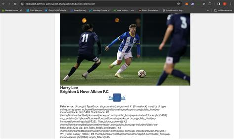 Elementor Loop Carousel Causing Crash Rwordpress