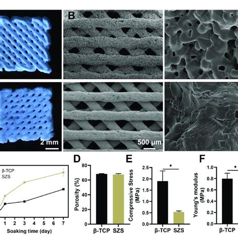 Characterization Of 3d Printed Szs And β Tcp Scaffolds A Optimal Download Scientific Diagram