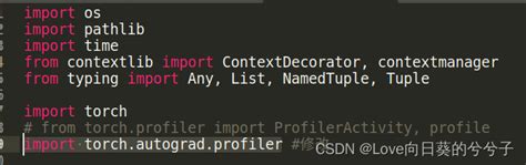 代码运行出现：no Module Named ‘torchgeometric‘安装了但仍然显示 No Module Named
