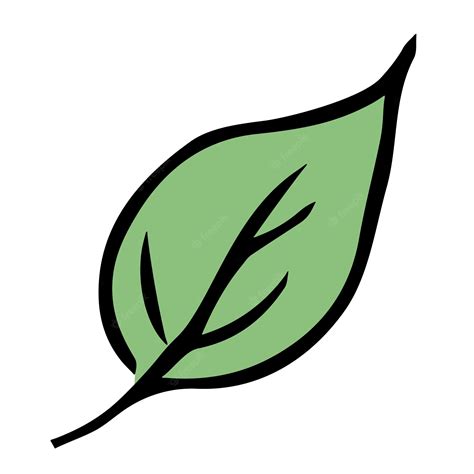 Simple Leaf Icons Png Free Png And Icons Downloads 3801884