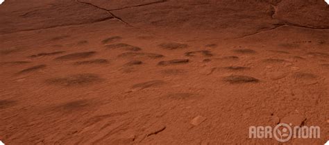 Devlog Trailer Success Playtest Feedback Visual Upgrades News AGRONOM ModDB