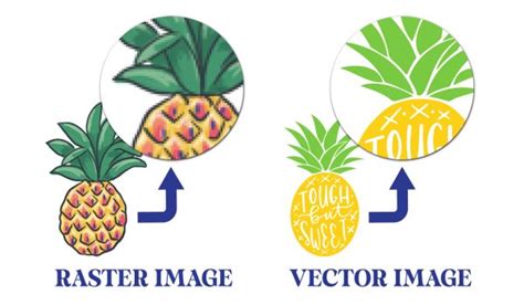 How To Convert Text To Outlines In Illustrator Pineapple Paper Co