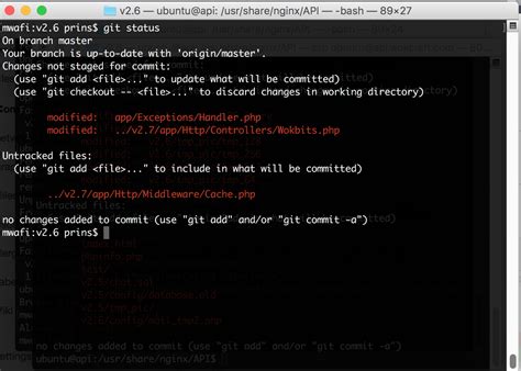 Git File Keep Appear In Modified Section And Cant Commit It Stack