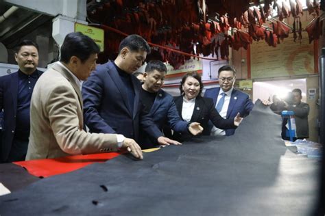 Малын гаралтай түүхий эдийг эдийн засгийн эргэлтэд оруулах “Цагаан алт” хөтөлбөр хэрэгжинэ