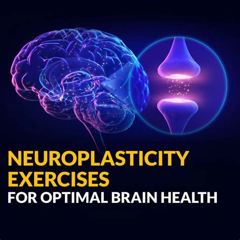 Neuroplasticity Exercises How To Rewire Your Brain