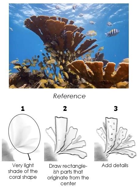 Coral Reef Drawing Easy Step By Step Tutorial