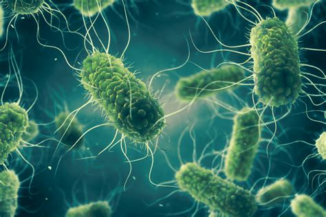 Dycem Vs Footbaths And Sanitizing Mats Dycem