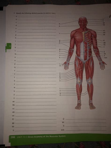 Solved Post Lab Quieras Are Also Assignable In Mastering