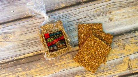 21 Trader Joes Crackers Ranked