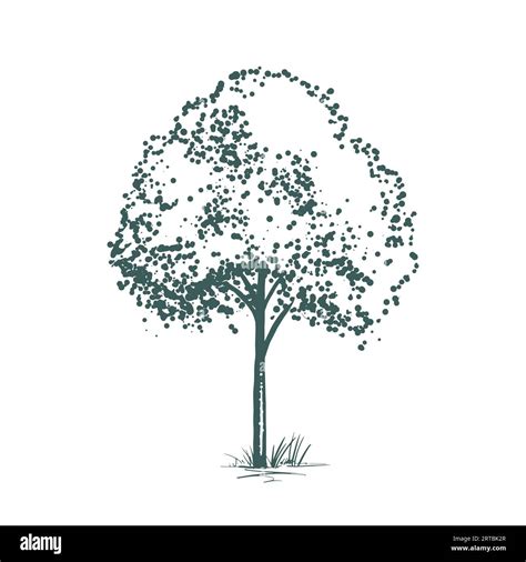 Deciduous Trees Drawing