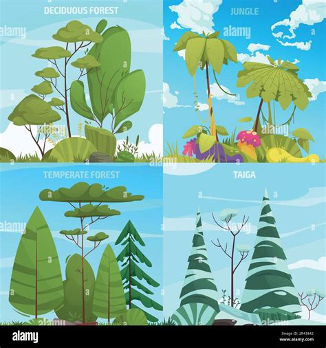 Ecosystem Types Cartoon Compositions Set With Different Forest Systems