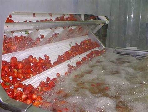 Fruit And Vegetable Air Bubble Washing Machine Ibc Machine
