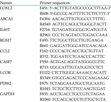 The Primer Sequences For Qrt Pcr Download Scientific Diagram