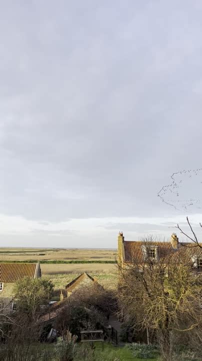 Ben Rivett On Linkedin For All Those Busily Buzzing Around I Hope You