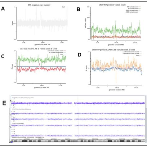 The Flow Chart Of Development And Validation Of Cma Seq Algorithm For Download Scientific
