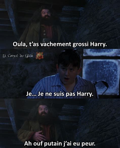 11 Clashs Qui Auraient Dû Avoir Lieu Dans Harry Potter