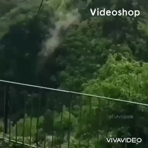 Life Cycle Hassan Najafzadeh