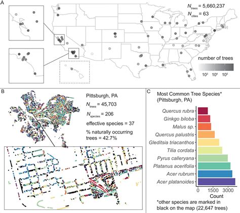 Species Clustering Climate Effects And Introduced Species In 5 Million City Trees Across 63 Us
