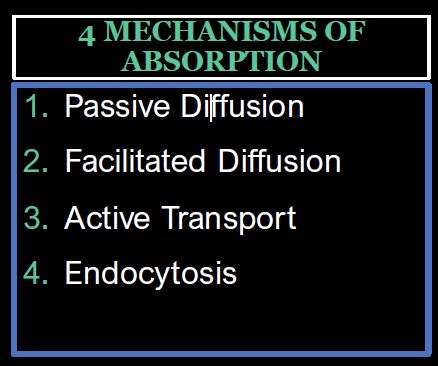 Tox Exam Flashcards Quizlet Tox Exam Flashcards Quizlet