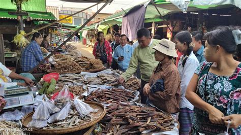 ရွှေတောင်မြို့နယ်အတွင်း ကုန်ဈေးနှုန်းတည်ငြိမ်ကျဆင်းရေးအတွက် ရွှေတောင်မြို့မစျေးအတွင်း သား၊ ငါး