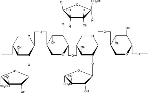 Beta Glucan Molecule Brain Mind Article